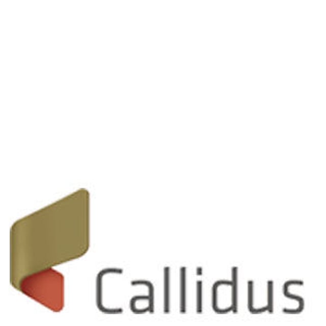 Callidus Software