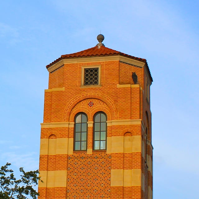 Rice Humanities