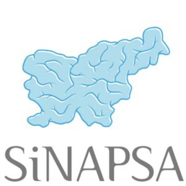 SiNAPSA
