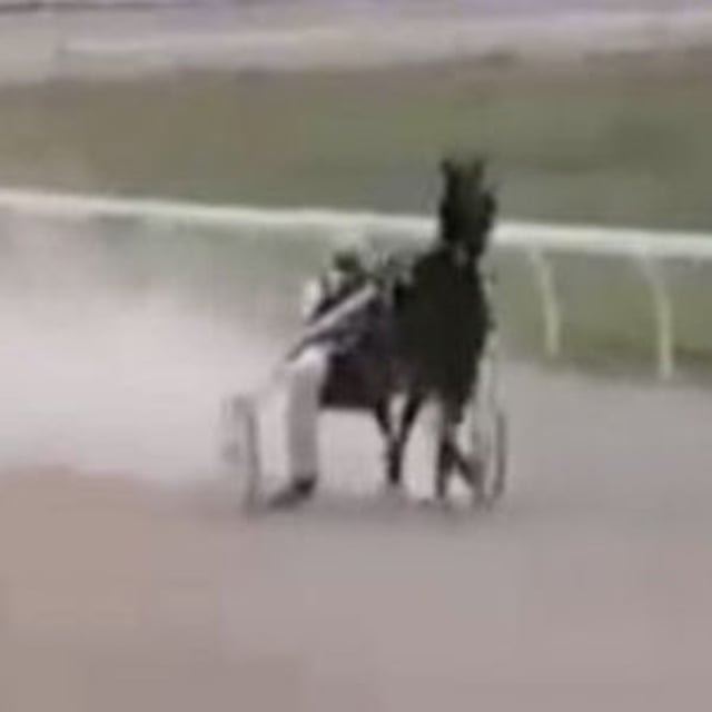 Harness Cheating