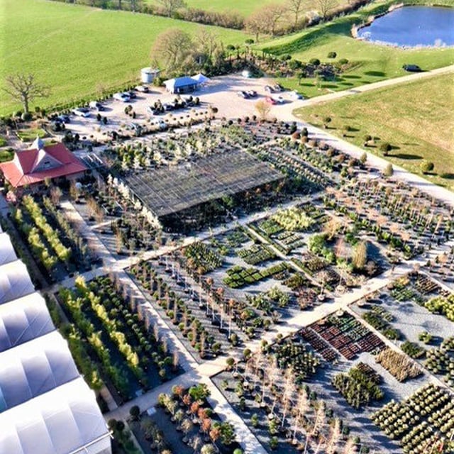 Architectural Plants