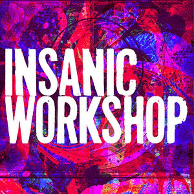 INSANIC WORKSHOP