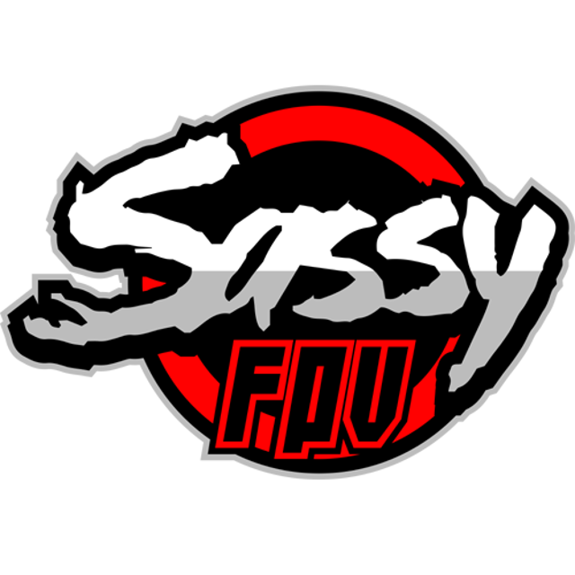 Sander Sassen - Drone Pilot & Drone Operator