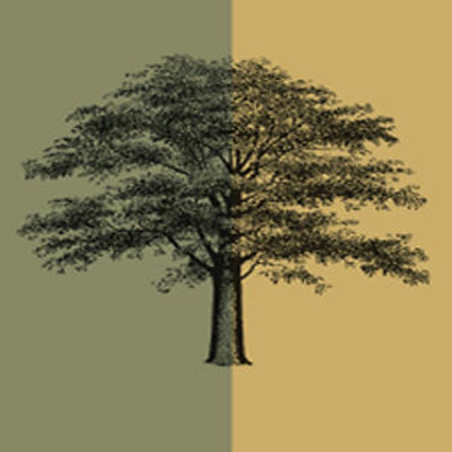 Arbor Group - Director, Producer & Editor