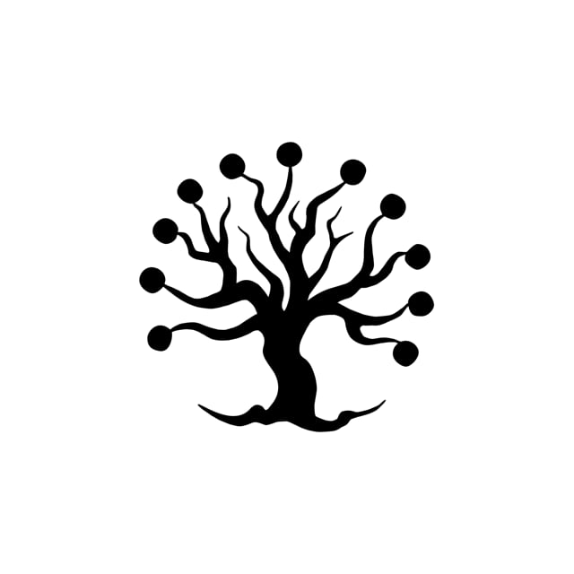 Daniel Villiger - Director, Video Editor & Director of Photography (DP)