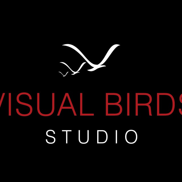 Visual Birds Studio