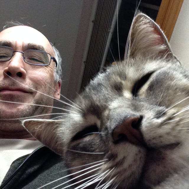 David Fain - Video Editor, Animator & Director