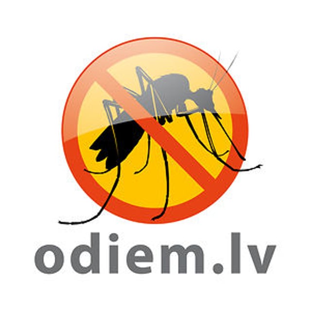 odiem.lv
