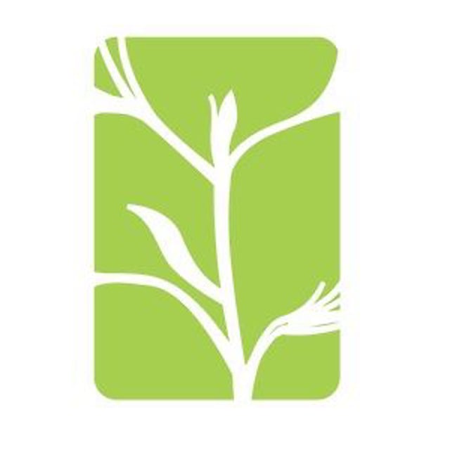 Insights Bible Study