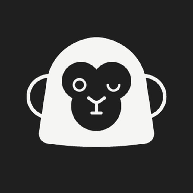 Monkey Mind Studio - Video Editor & Motion Graphic Designer