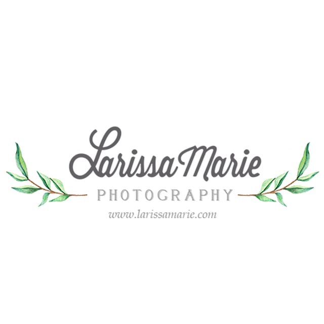 Larissa Marie Photography - Wedding Photographer & Wedding Videographer
