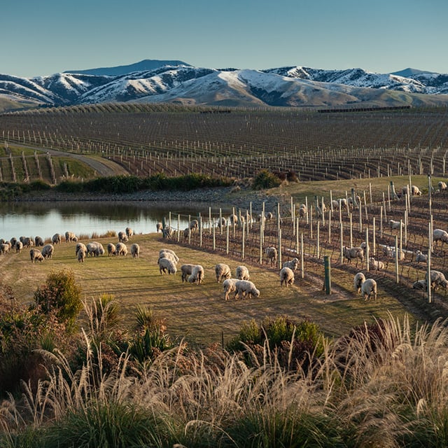 Jim Tannock - Director, Editor & Video Editor