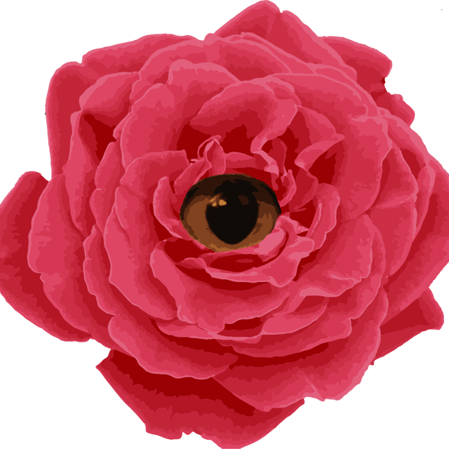 A.B.normal Films - Screenwriter, Director & Director of Photography (DP)