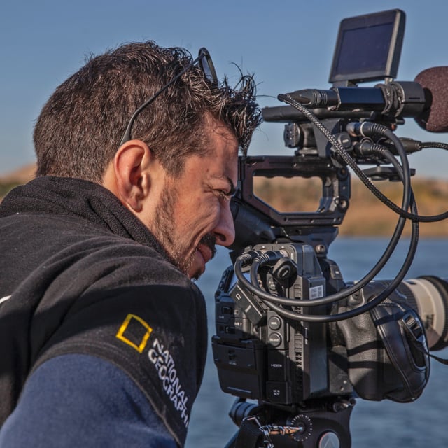 LUCA MIRANDA - Art Director