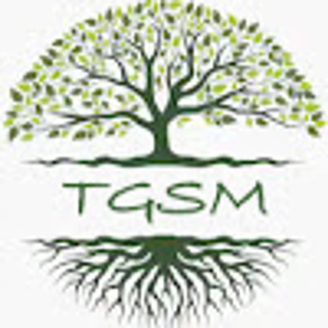 TGSM