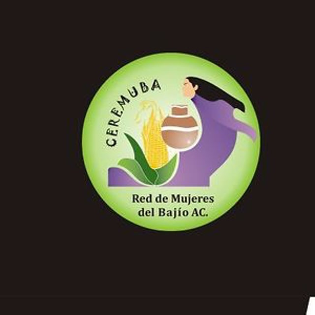 Red de Mujeres del Bajío