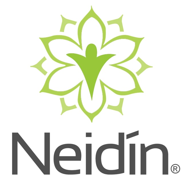 Neidín