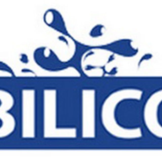 Bilico Miền Nam