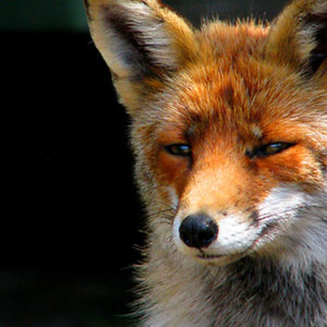 Fredrik Freij - Producer