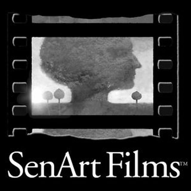 SenArt Films