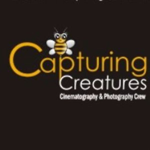 Capturing Creatures