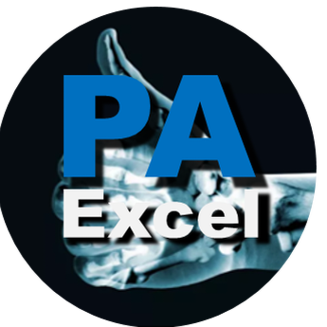 PA Excel