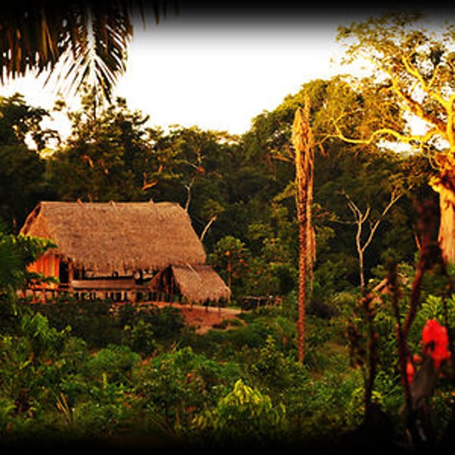 Instituto Guardiões Da Floresta