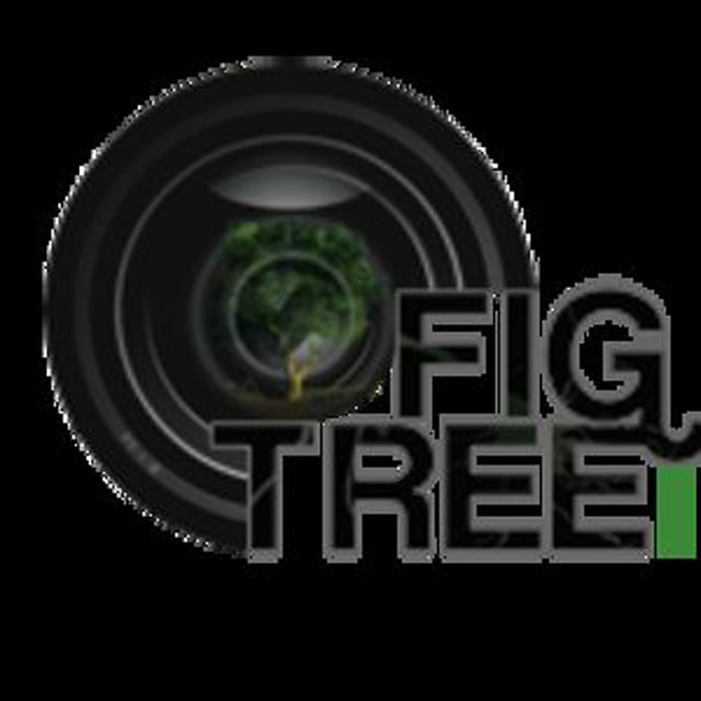 Fig Tree Film
