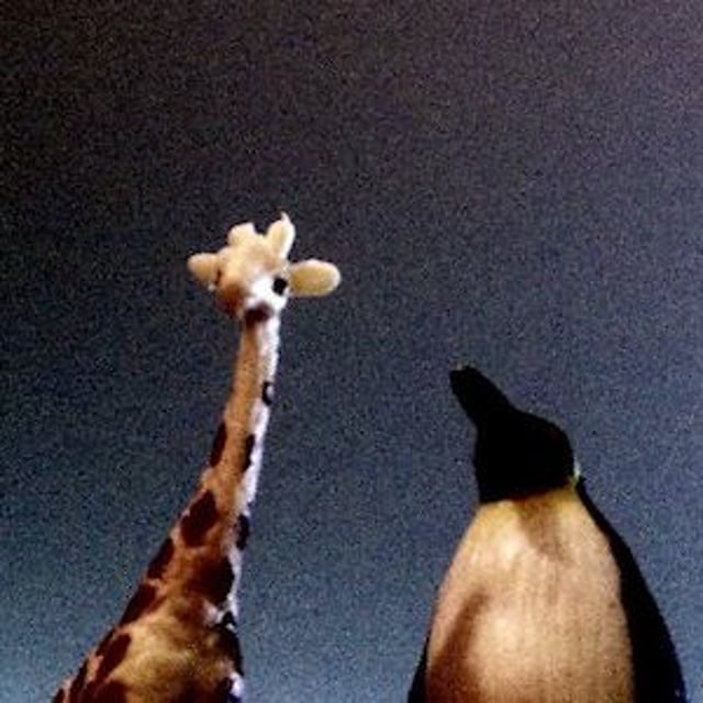 Giraffe and Penguin Productions