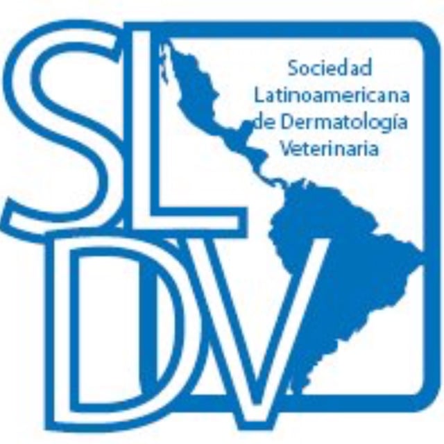 SLDV