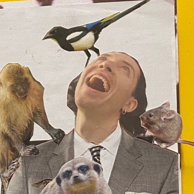 Robert Fox - Director, Film Director & Video Editor