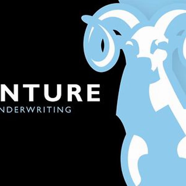 Venture Underwriting