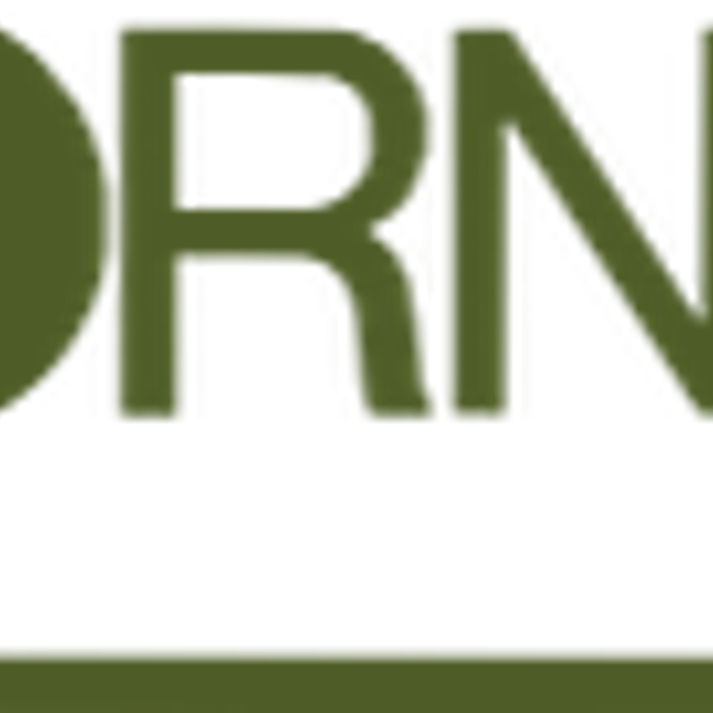 Fornat AG