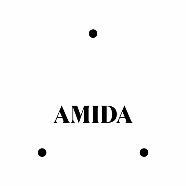 Grupo Amida