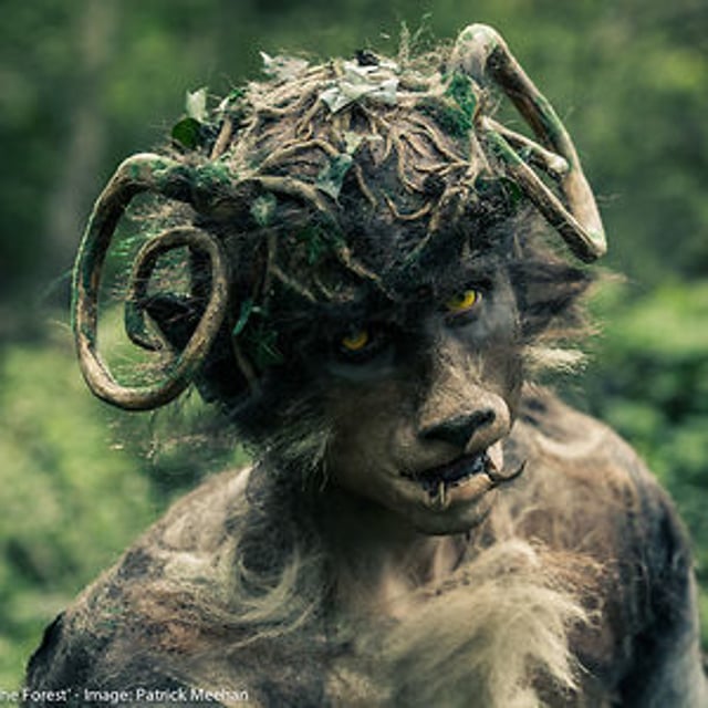 Humanimal