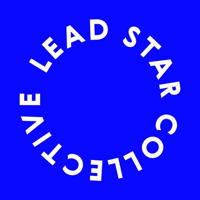 Lead Star Collective - Animator