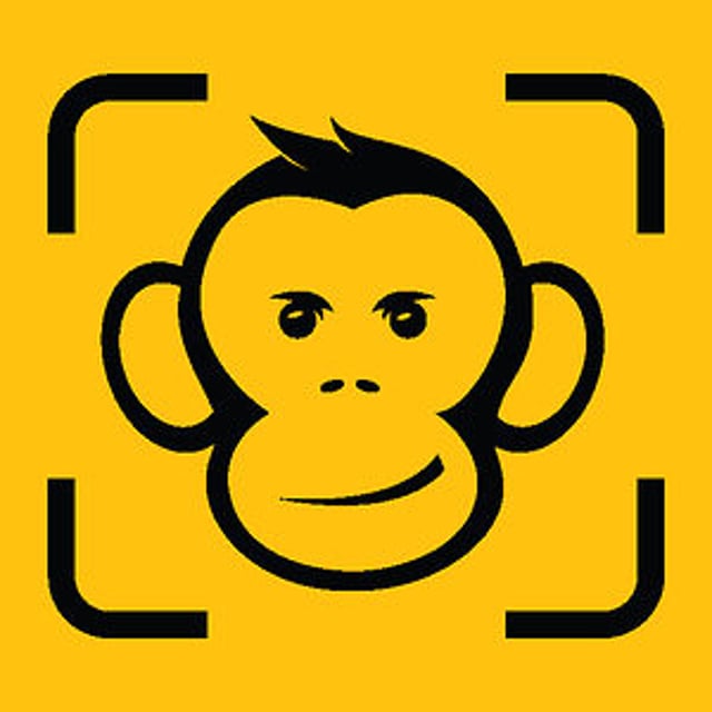 Monkey - Visual Effects Supervisor, Video Editor & Creative Director