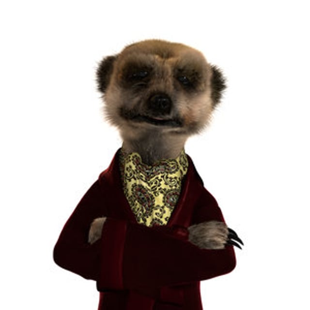 comparethemeerkat.com