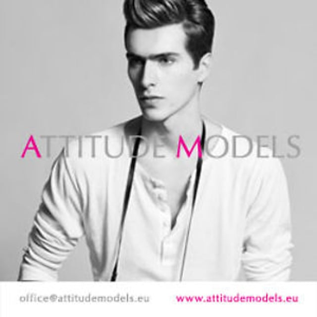 Attitude Models