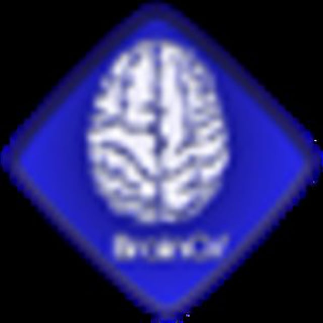 Brain Operating System