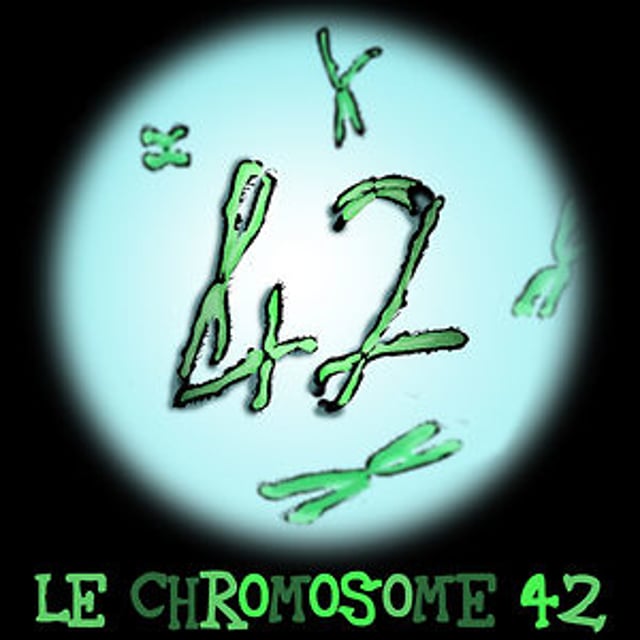 Le chromosome 42