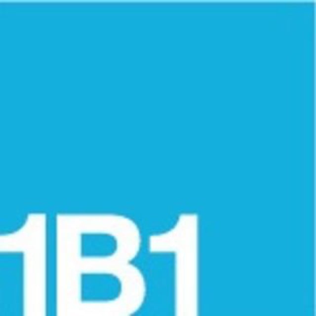 1B1
