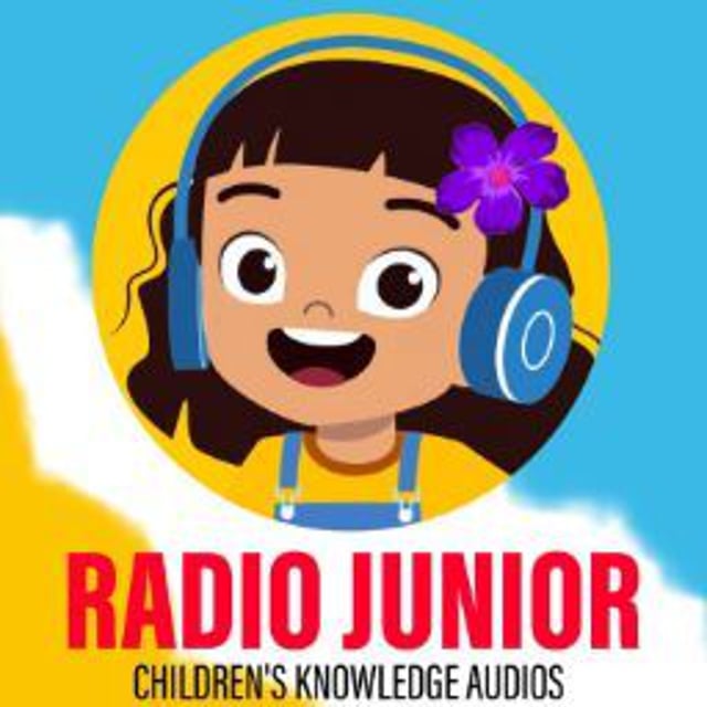 Radio Junior