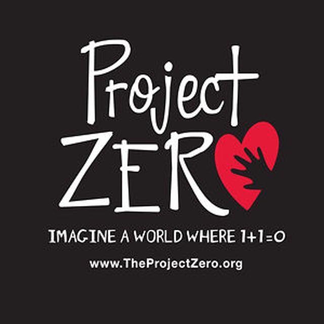 Project Zero