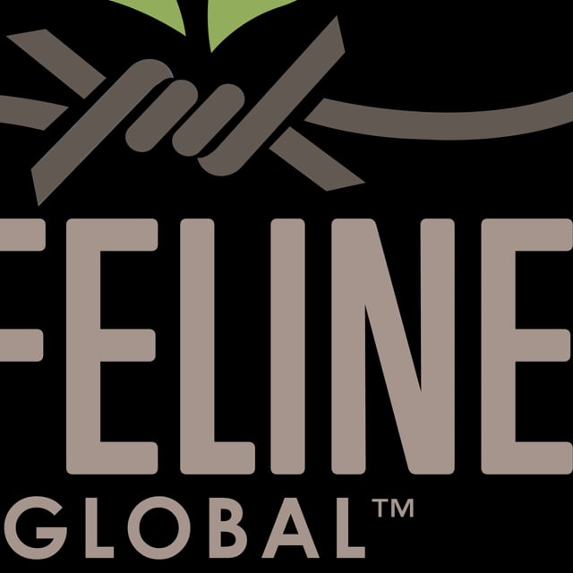 Lifeline Global Ministries