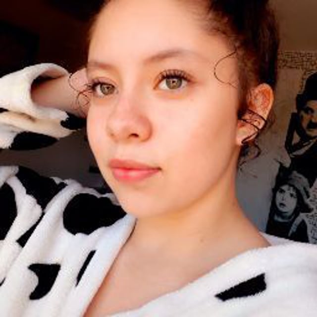 maria isabel silva niño