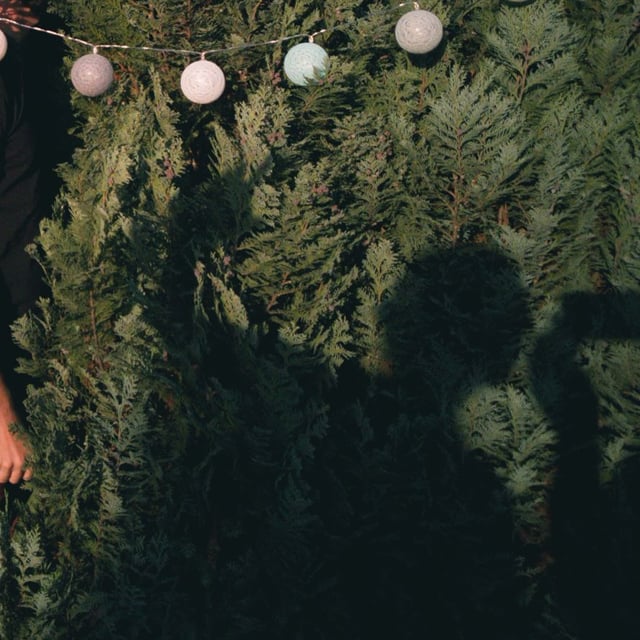 Radu Voinea - Cinematographer, Camera Operator & Filmmaker