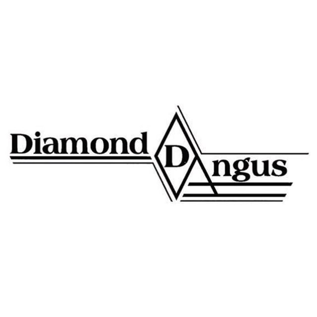 Diamond D Angus