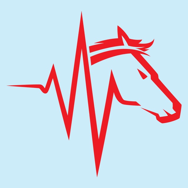 Pulse Racing Thoroughbreds