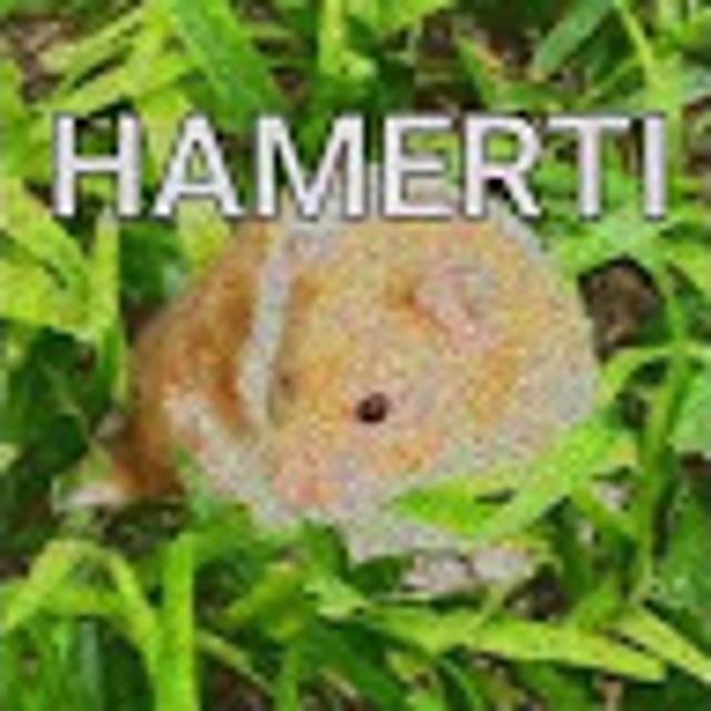 Hamerti